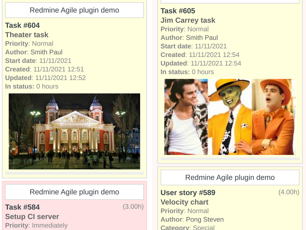 Card Fields | Agile plugin documentation
