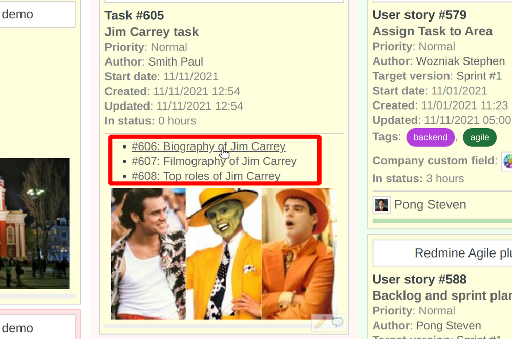 Card Fields | Agile plugin documentation