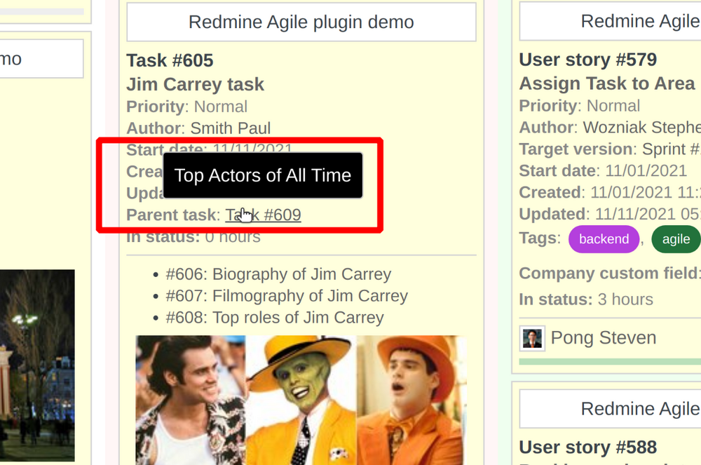 Card Fields | Agile plugin documentation
