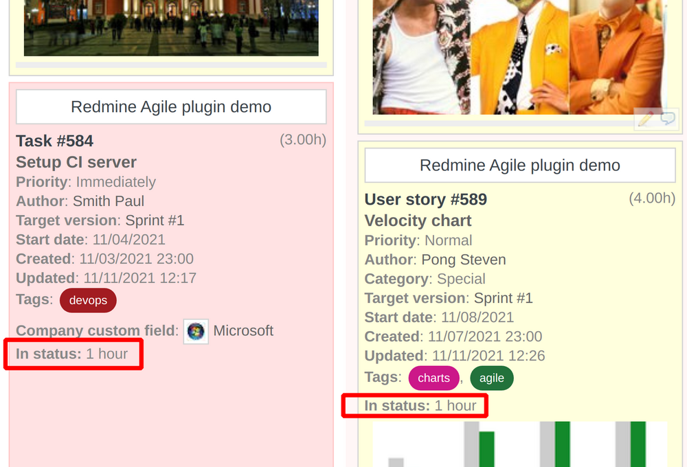 Card Fields | Agile plugin documentation