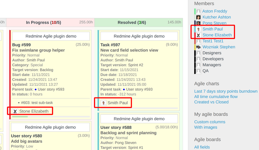 Card Fields | Agile plugin documentation