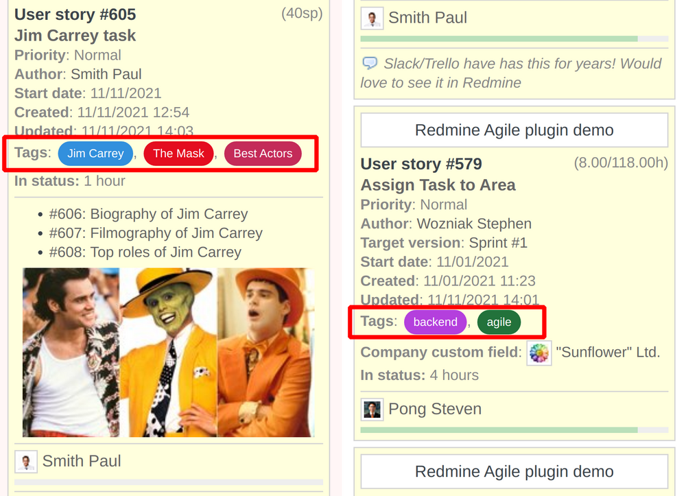 Card Fields | Agile plugin documentation